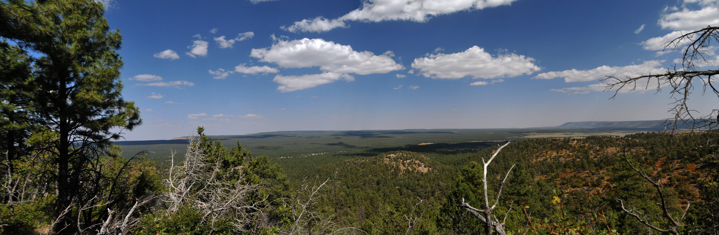The Mogollon Rim and the Grand Canyon