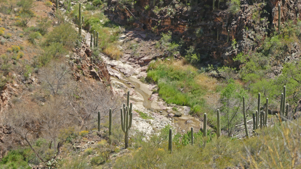 Buehman Canyon